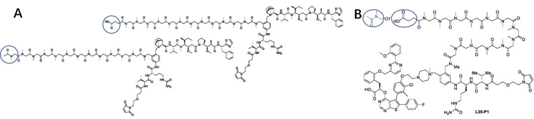 Beyond PEGylation：聚肌氨酸(PSAR)在ADC领域的应用医药新闻-ByDrug-一站式医药资源共享中心-医药魔方