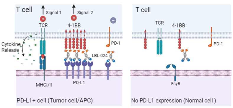 汉康Portfolio | First in Class潜力创新药！维立志博抗PD-L1/4-1BB双抗单臂关键注册临床研究获批医药新闻-ByDrug-一站式医药资源共享中心-医药魔方