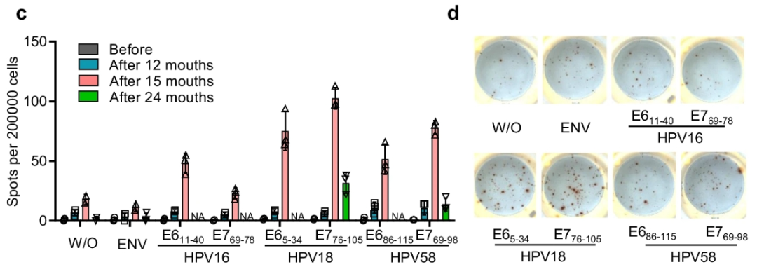 恒瑞源正靶向HPV18阳性实体瘤TCR-T研究成果发表医药新闻-ByDrug-一站式医药资源共享中心-医药魔方