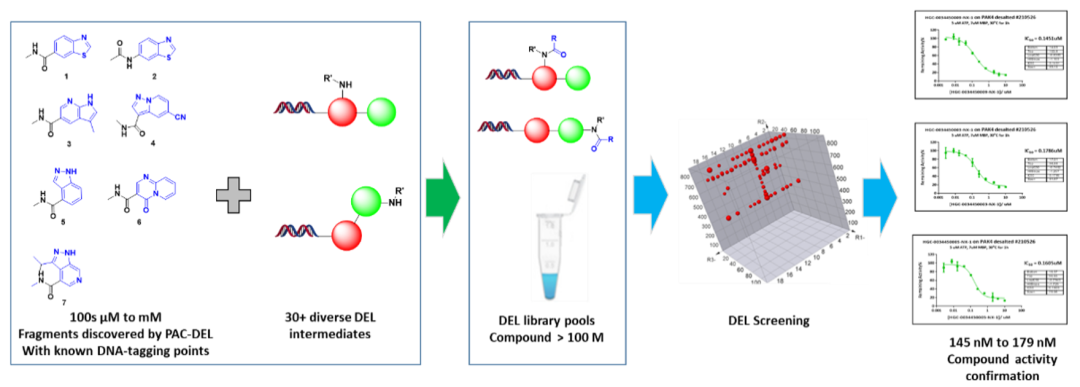 DEL for 药物分子优化场景应用医药新闻-ByDrug-一站式医药资源共享中心-医药魔方