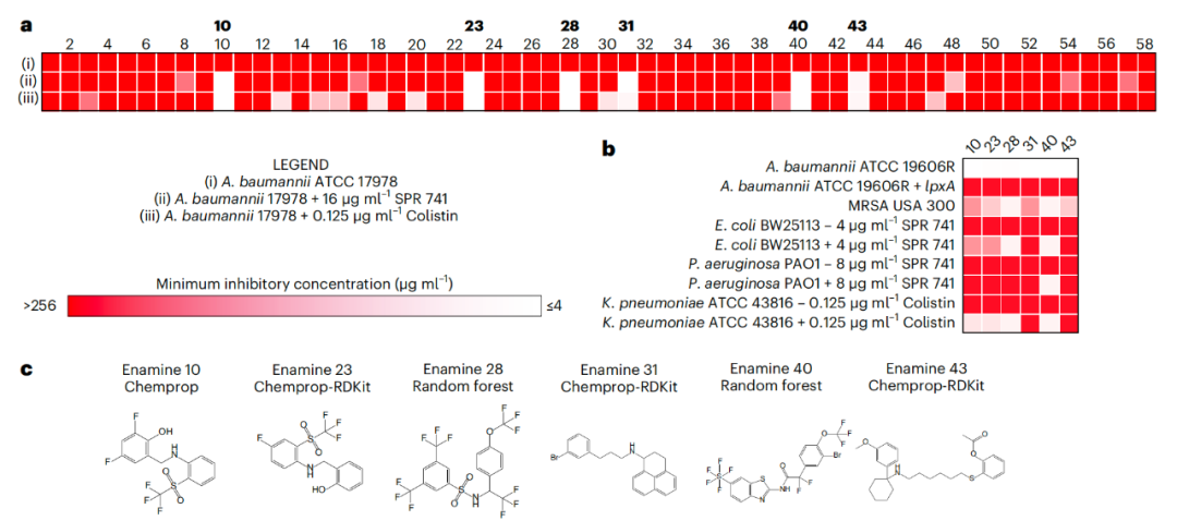 Nature子刊｜生成式AI设计出对抗超级细菌的全新抗生素医药新闻-ByDrug-一站式医药资源共享中心-医药魔方