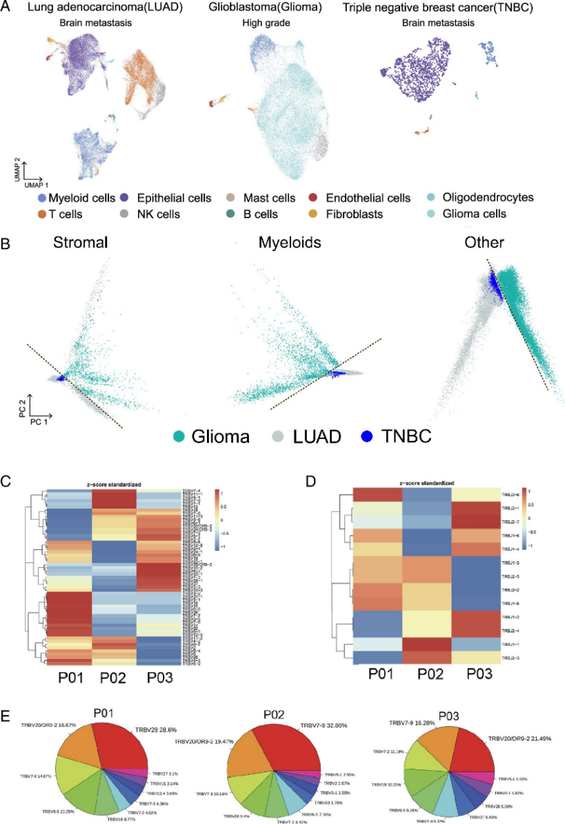 单细胞免疫组库（TCR/BCR-seq）及研究思路医药新闻-ByDrug-一站式医药资源共享中心-医药魔方