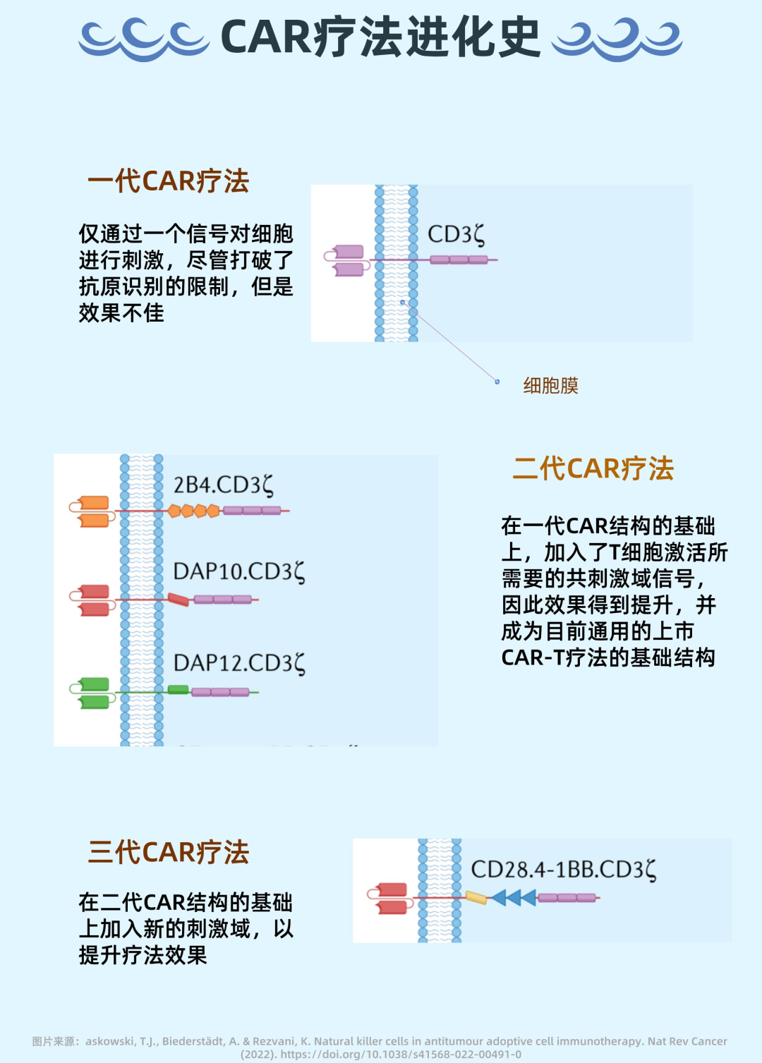 肿瘤细胞免疫治疗新方向：CAR-NK细胞疗法医药新闻-ByDrug-一站式医药资源共享中心-医药魔方