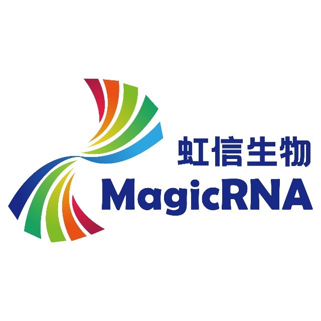 重磅 | 自免CAR-T治疗先驱、国际知名风湿免疫学家Georg Schett教授加入虹信生物顾问委员会，并担任首席医学顾问医药新闻 ...